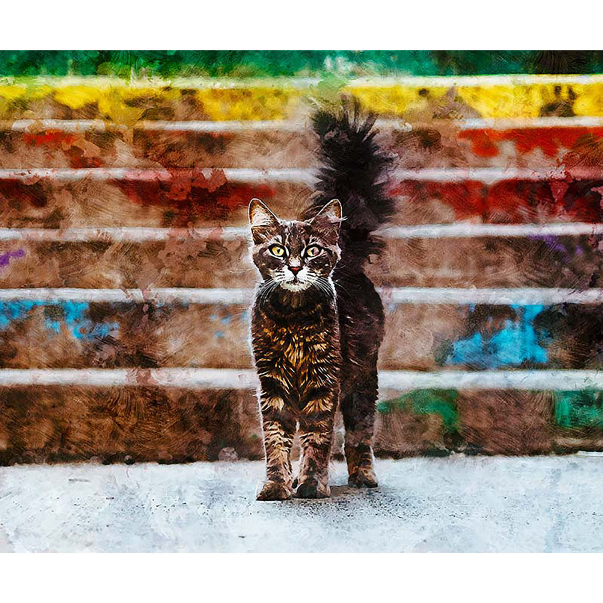 Cat in the Street – Digital Art Gallery